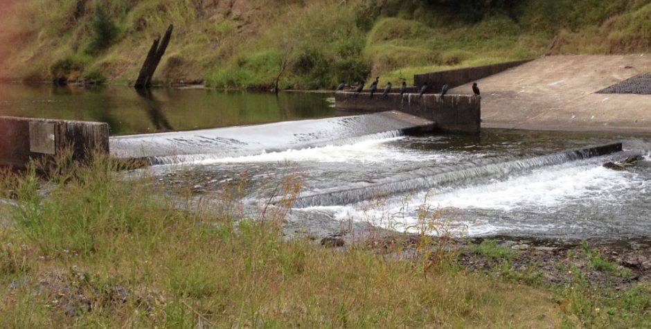 mary-river-photograph | Mary River Catchment Coordinating Committee