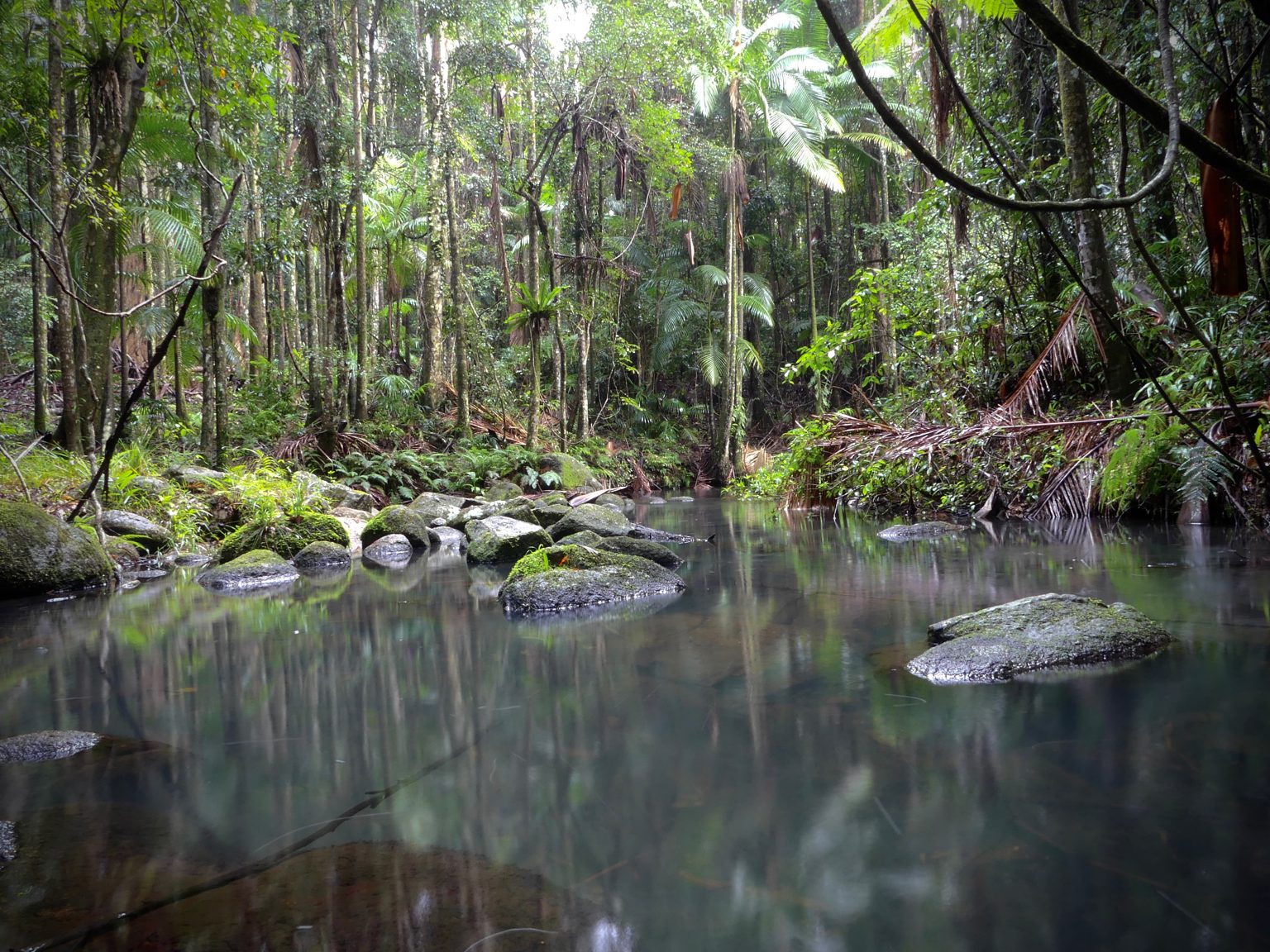 About us | Mary River Catchment Coordinating Committee