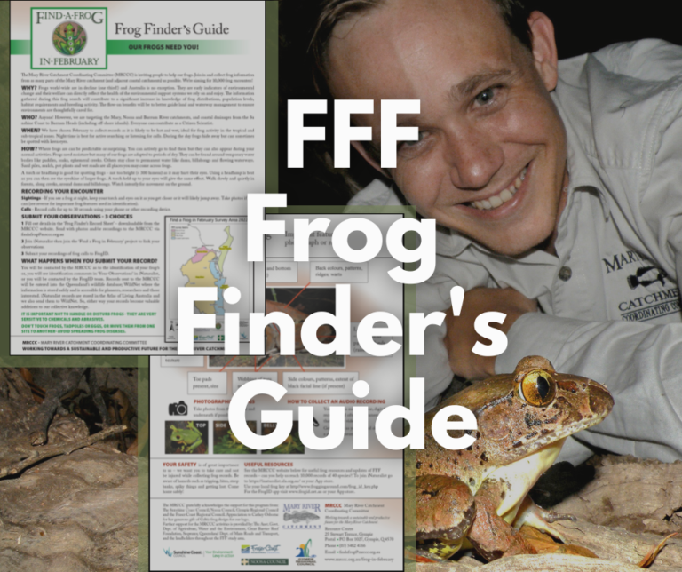 Find a Frog in February | Mary River Catchment Coordinating Committee