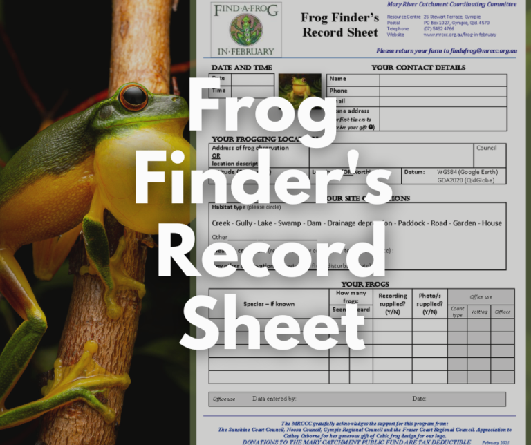 Find a Frog in February | Mary River Catchment Coordinating Committee