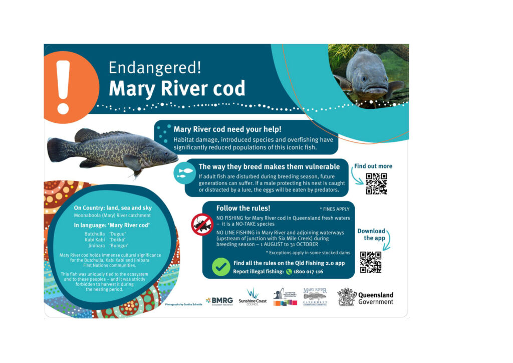Cod signage lr | Mary River Catchment Coordinating Committee