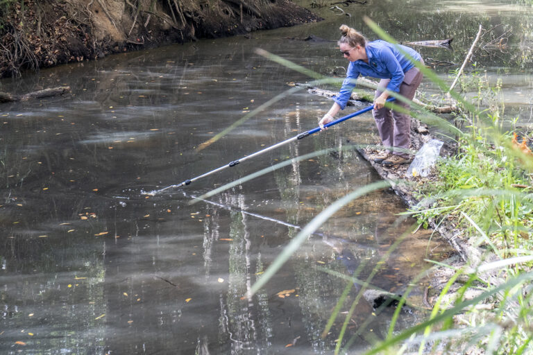 About Us | Mary River Catchment Coordinating Committee