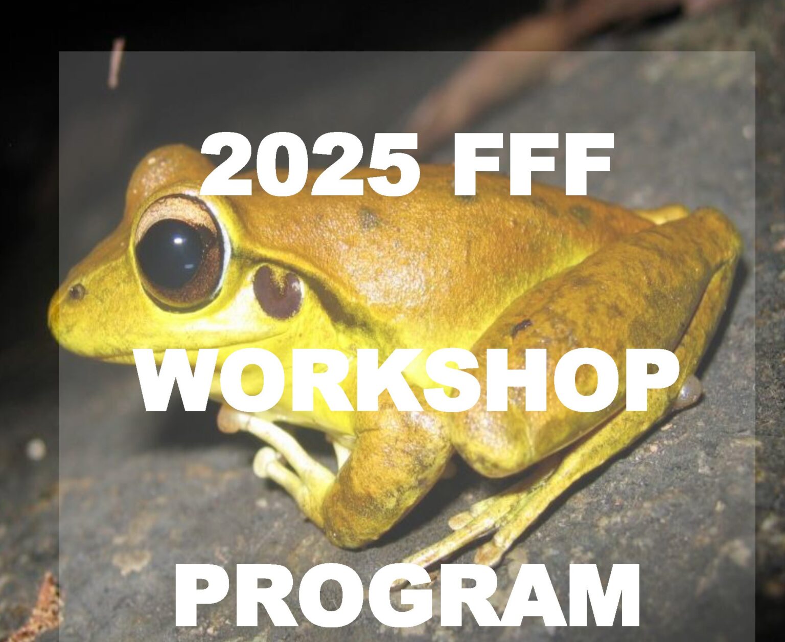 Find a Frog in February | Mary River Catchment Coordinating Committee